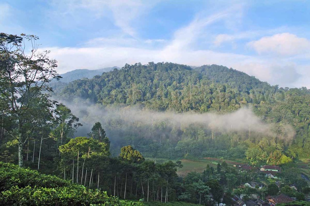 Misteri Gunung Kendeng dari Sragen, Peristirahatan Terakhir Sang Dewa Judi