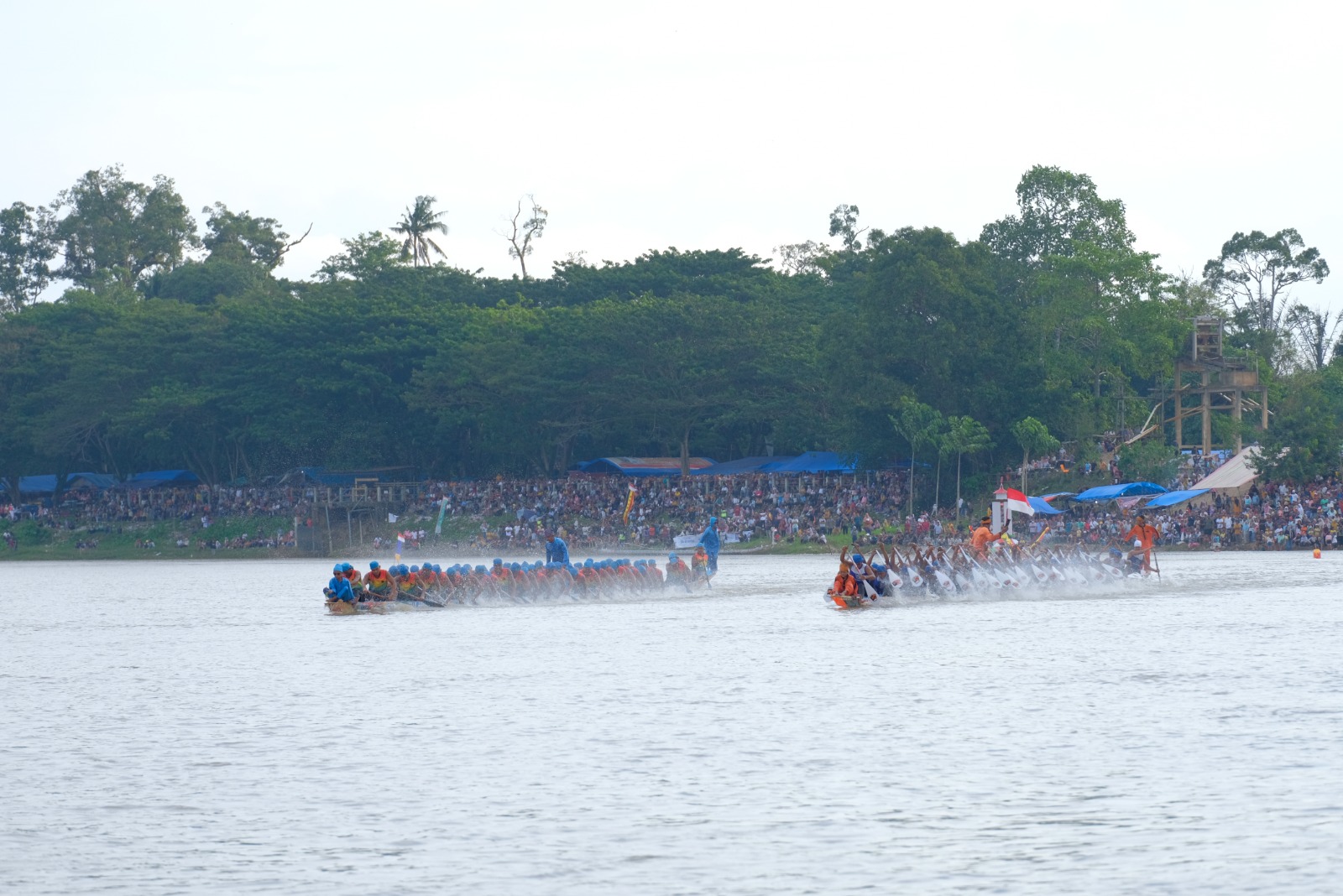Mendayung Kebudayaan Pacu Jalur di Kuantan Singingi, Riau