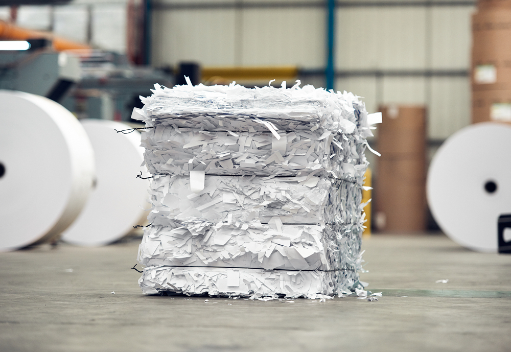 Potensi Industri Pulp dan Kertas Berkelanjutan