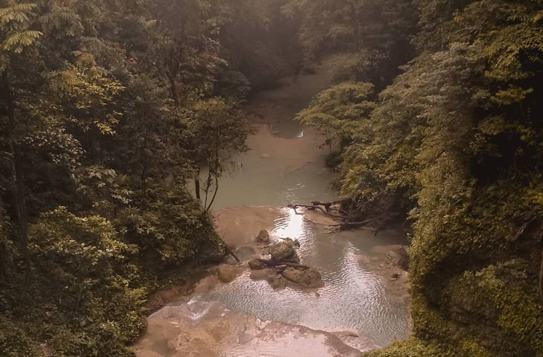 Hutan Lambusango: Upaya Merawat Paru-Paru Dunia dari Buton