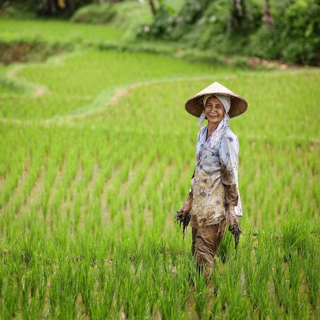 Simbol Dewi Sri dan Konsep Perempuan Sebagai Penjaga Kelestarian Bumi