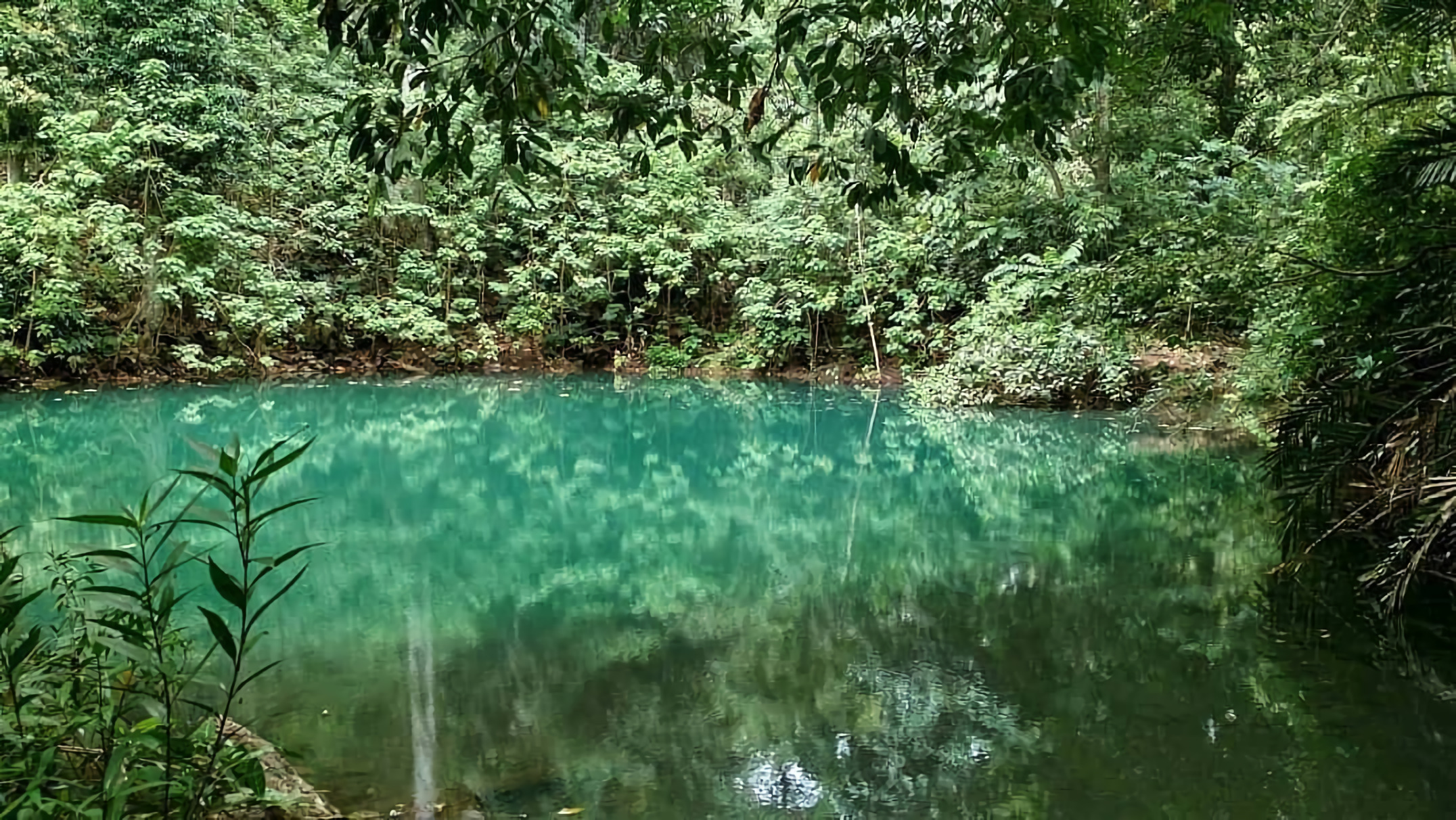 Aura Mistis Telaga Buret yang Menjaga Kecantikan Mata Airnya dari Kerusakan