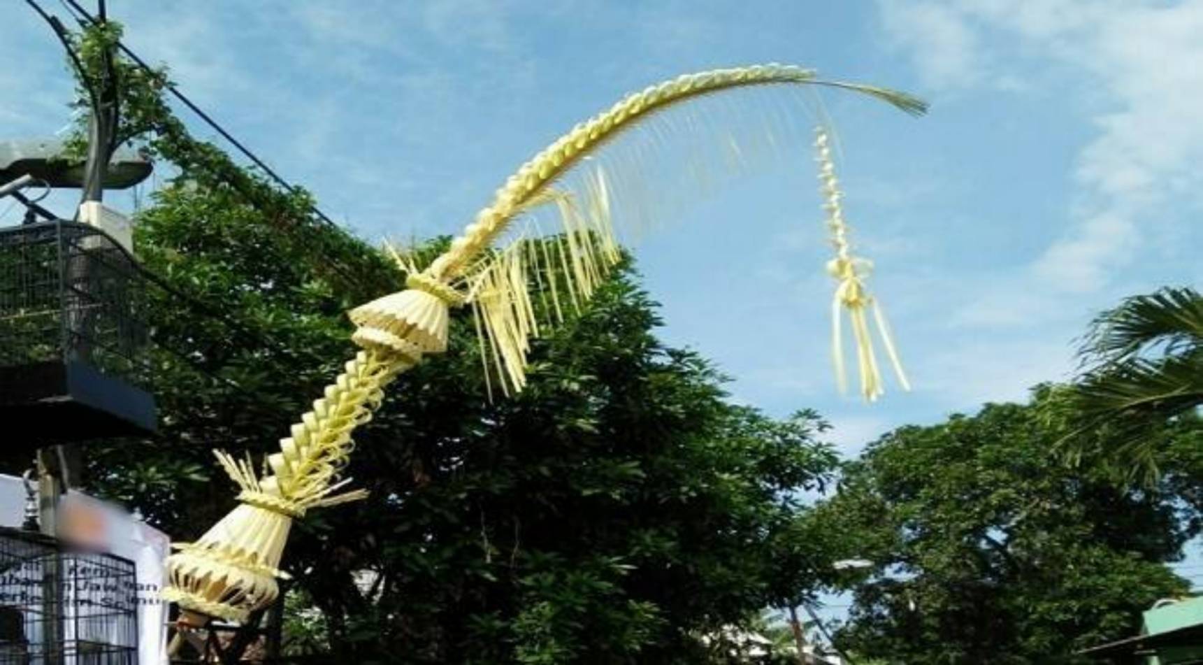 Janur Kuning: Serba-serbi dan Mitosnya