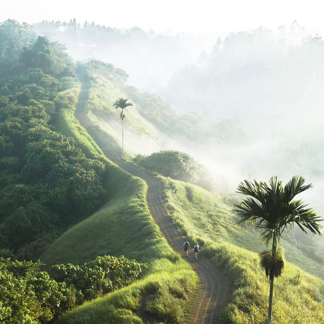 Menikmati Alam Perbukitan Bali Di Bukit Campuhan