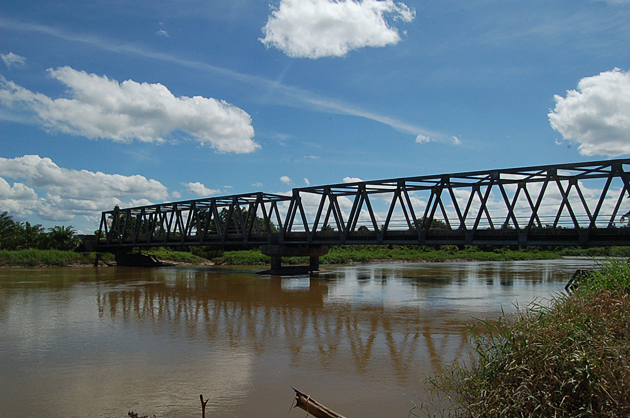 Ikan Arwana dan Kekayaan Bahari yang Hilang dari Sungai Rokan