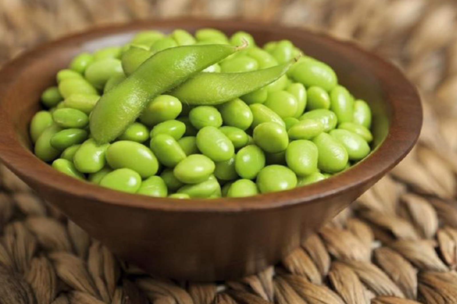 Edamame Jember yang Mendunia