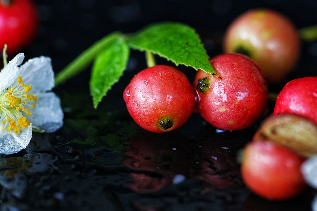 Tersebar di Indonesia, Buah Kersen Si Manis yang Legendaris