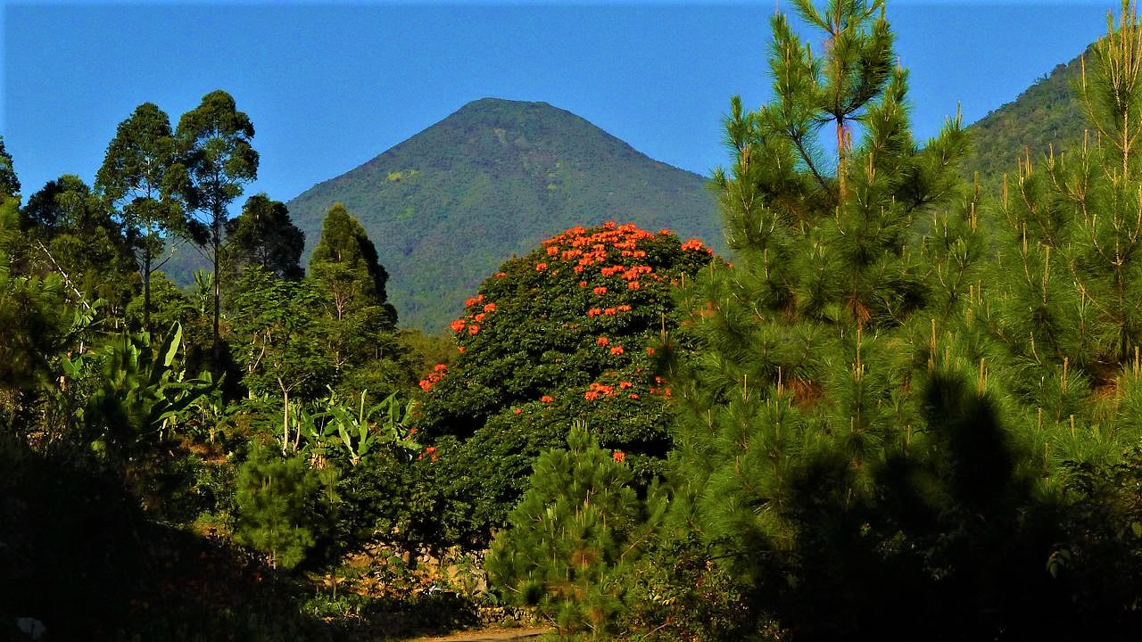 7 Fakta Menarik Gunung Gede Pangrango