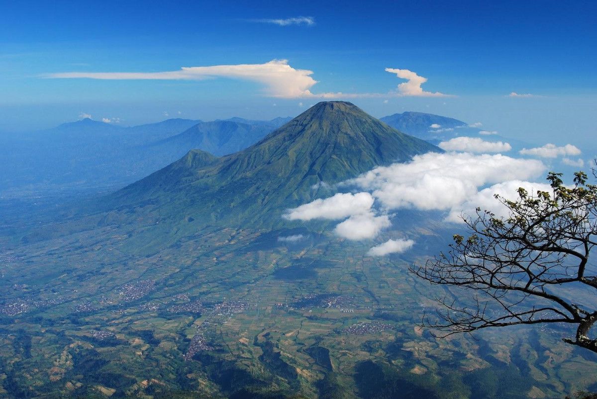 Gunung Slamet: Fakta Sains, Flora Fauna, dan Tujuan Pendakian di Indonesia