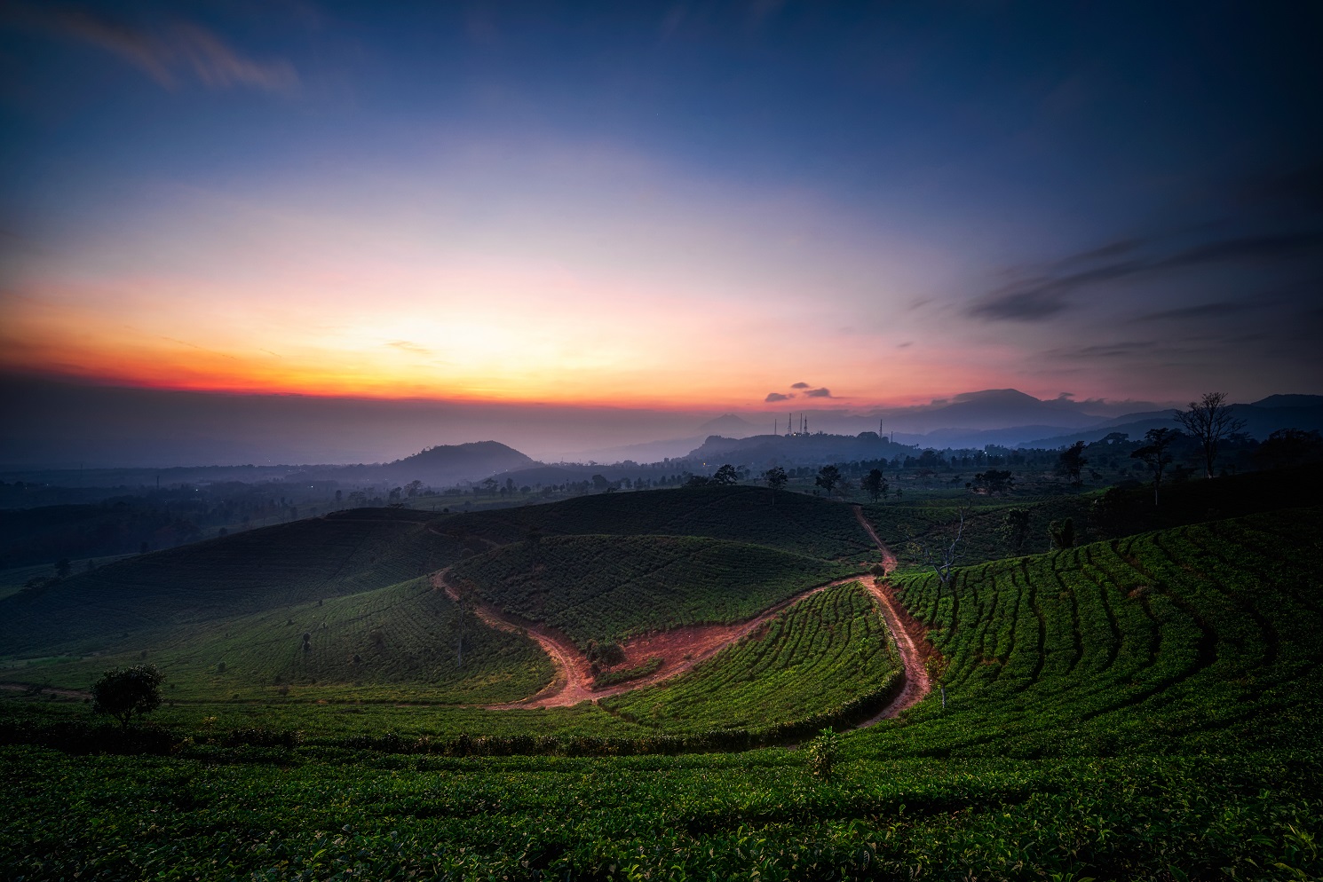 Bukit Pamoyanan, Negeri di Atas Awan Wisata Primadona Subang
