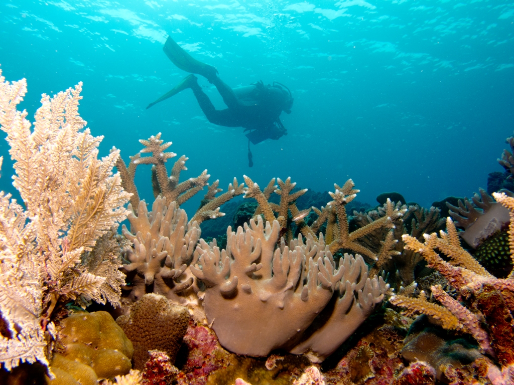 Inilah 7 Wisata Pantai Kepulauan Selayar yang Eksotis. Mantap Buat ...