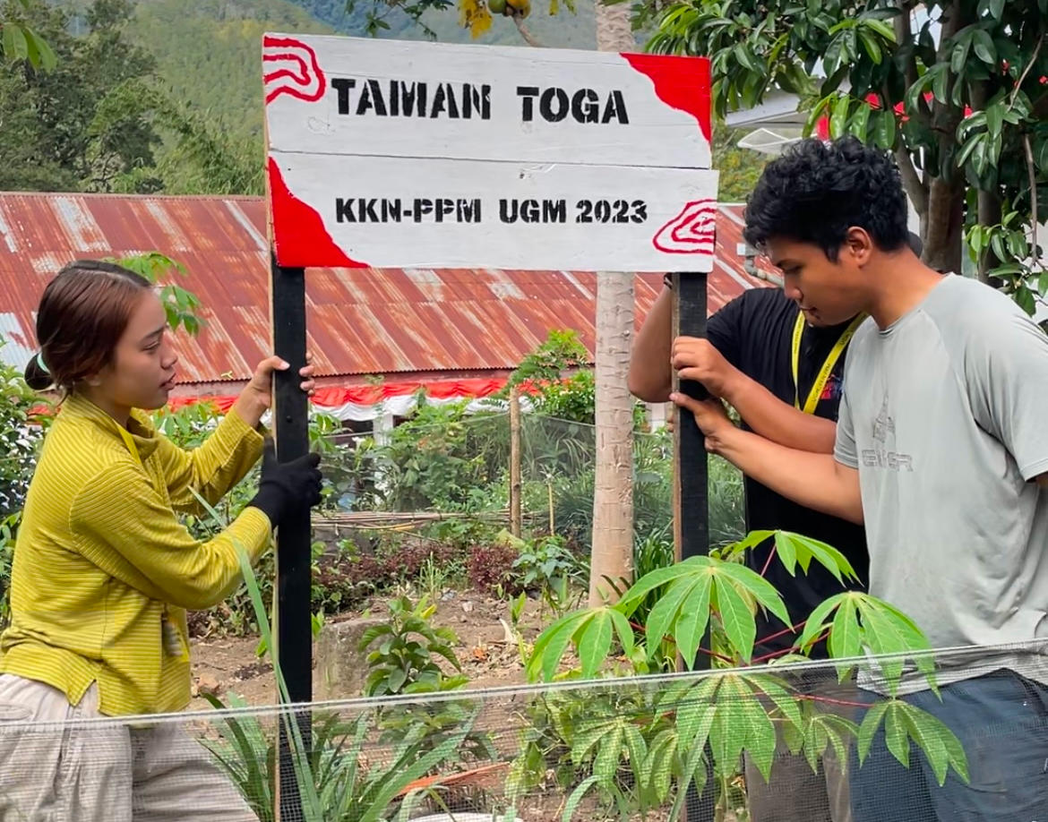 Mahasiswa KKN UGM Populerkan Tanaman Obat Keluarga di Kecamatan Sianjur ...