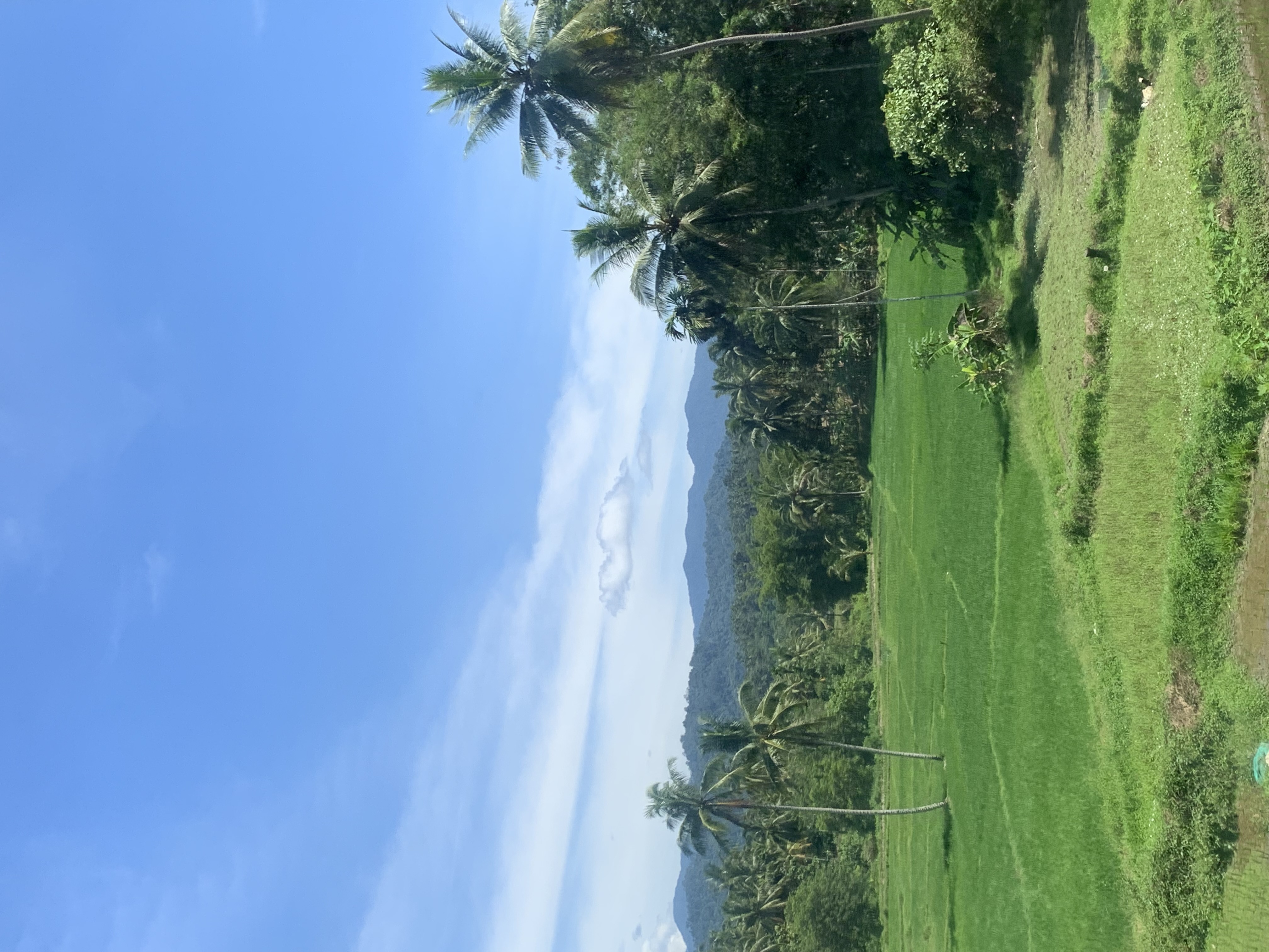 Keindahan dan Kekayaan Bahasa Minangkabau: Memahami Jejak Budaya di ...