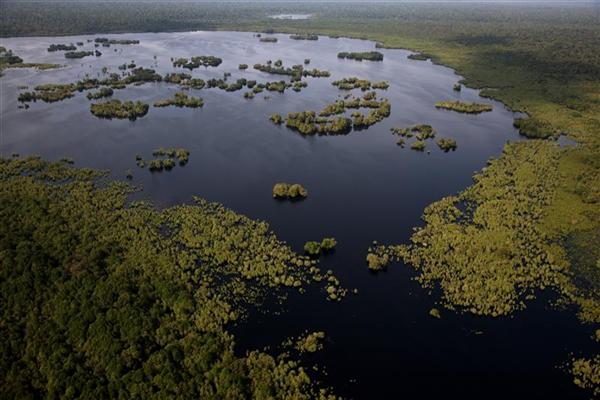 Ini Dia 7 Situs Ramsar di Indonesia Yang Kamu Perlu Tahu