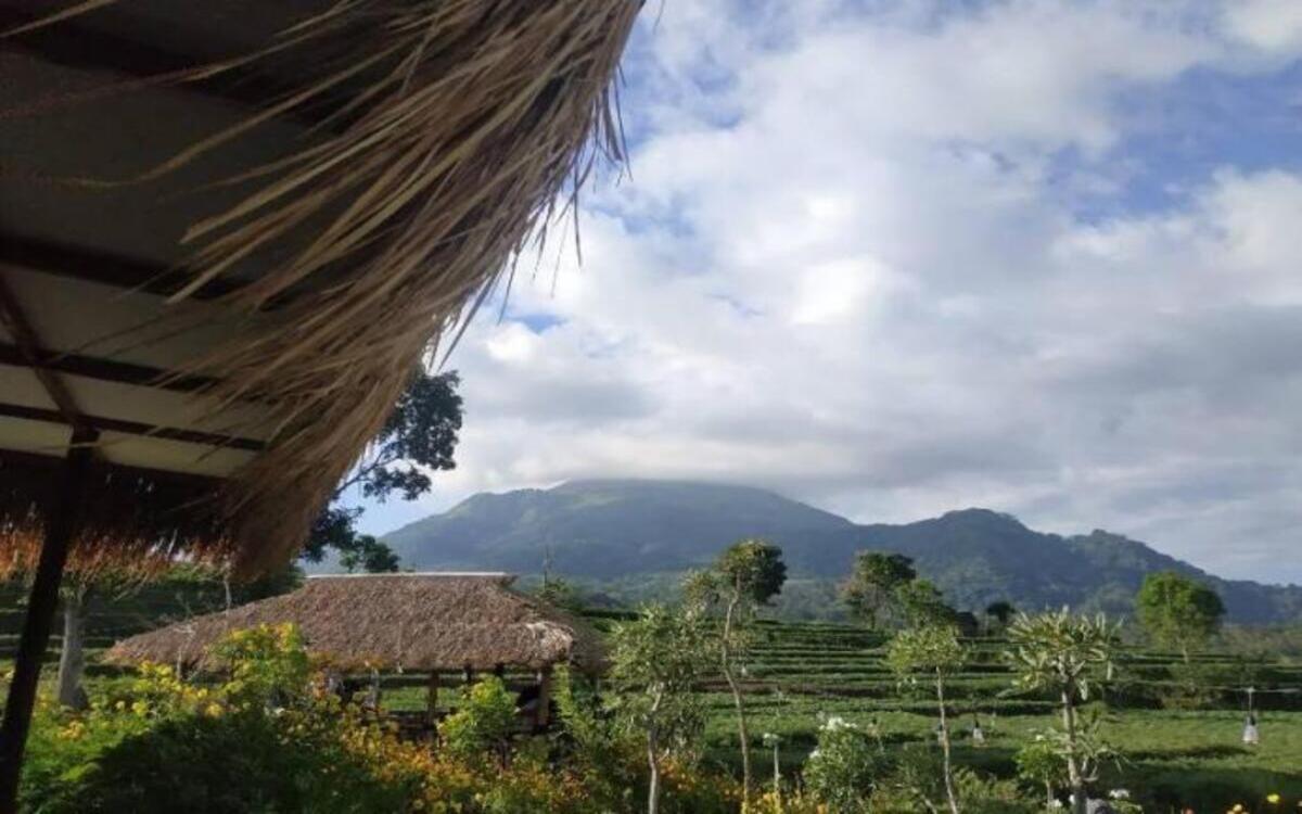 Mengenal Ketapanrame Mojokerto, Desa Wisata Terbaik yang Jadi Sorotan Debat Cawapres