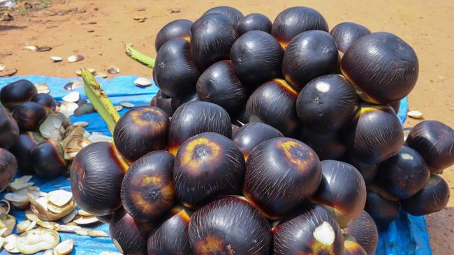 Buah Siwalan Tuban yang Menyegarkan, Ternyata Bisa Dibuat Sambal!