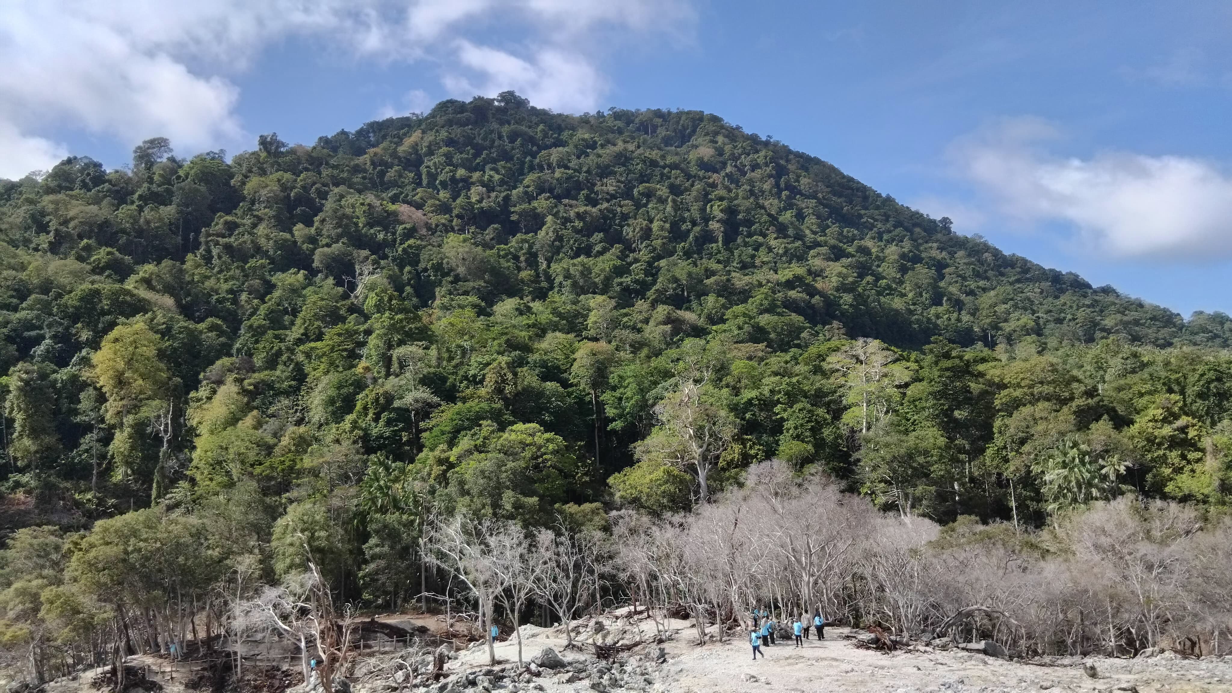 Ekspedisi Sabang: Penyelamat Mahkota Hutan Lereng Gunung Api Jaboi