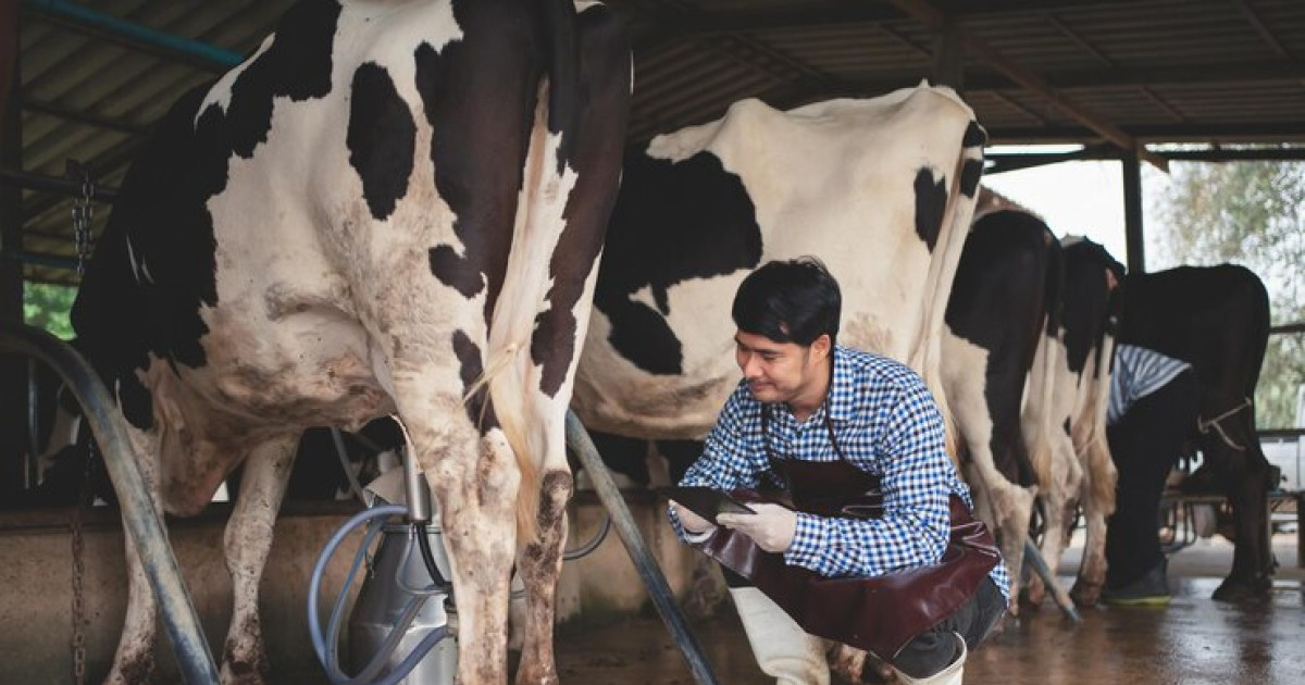 Industri Lebih Pilih Susu Impor, Apa Upaya Pemerintah untuk Dukung ...