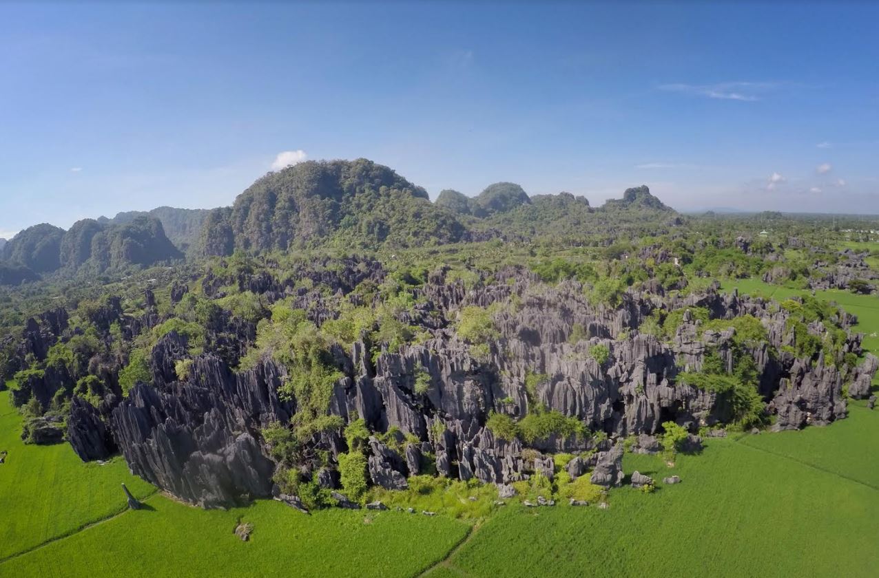 Konservasi vs Eksploitasi: Pentingnya Keseimbangan dalam Pengelolaan ...