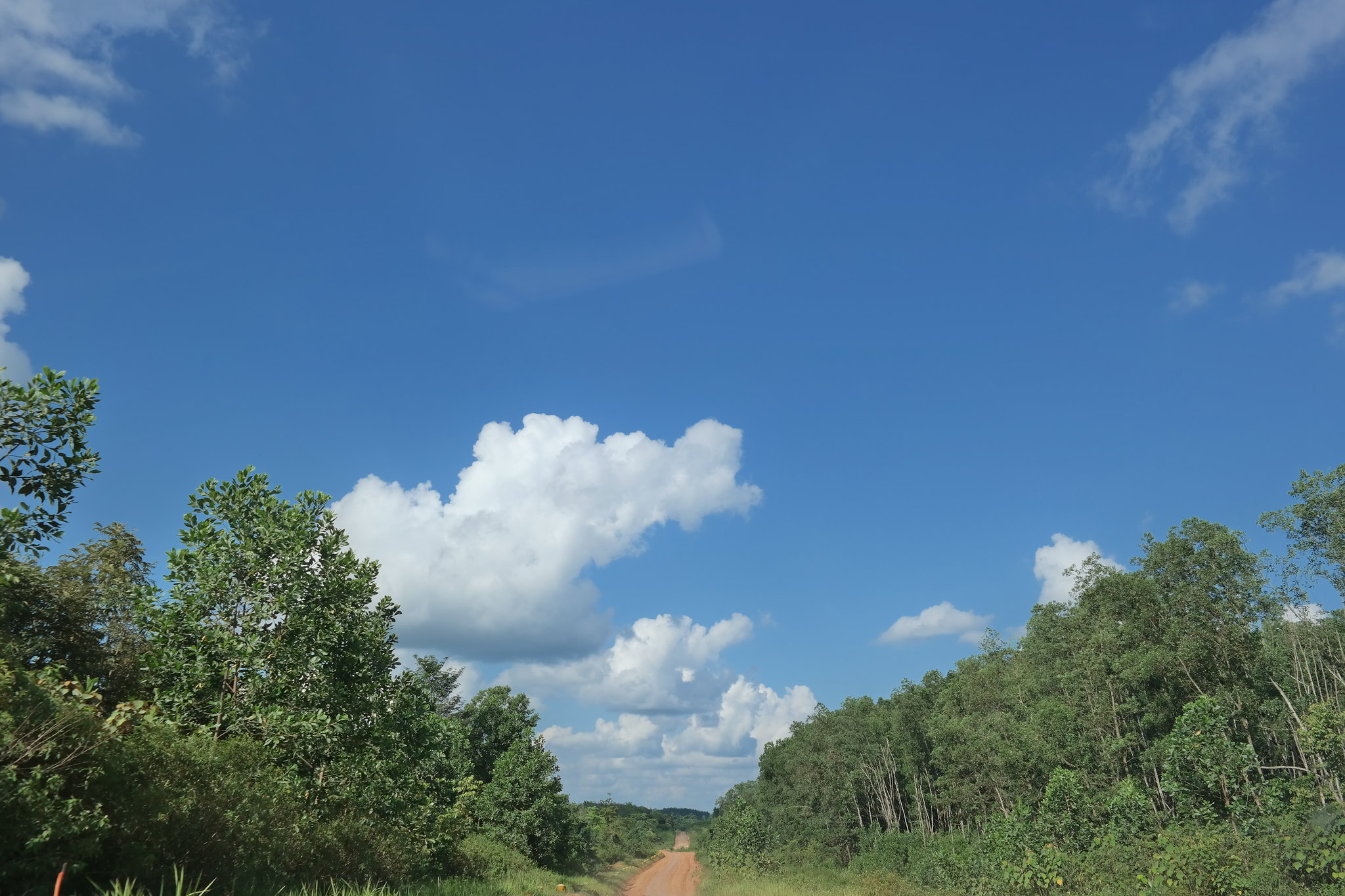 Mengenal Sesar Semangko, Pemicu Gempa Besar di Pulau Sumatra