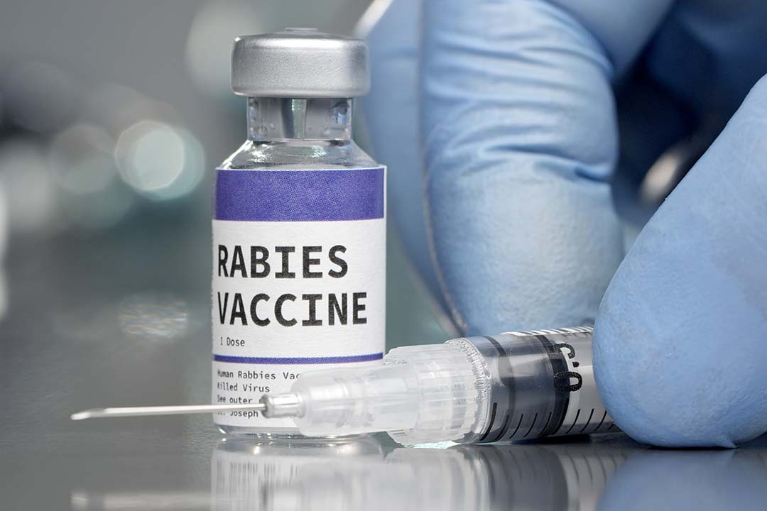 Mengenal Vaksin Rabies dan Cara Mendapatkannya