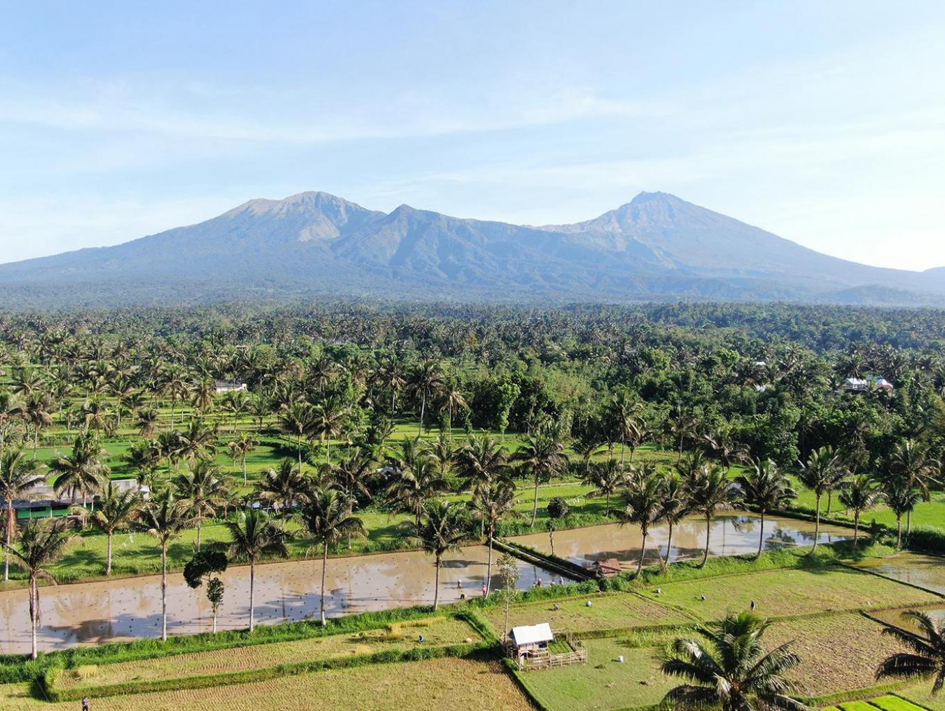 Mengikuti Denyut Alam di Desa Tetebatu Lombok, Harmoni di Kaki Gunung ...