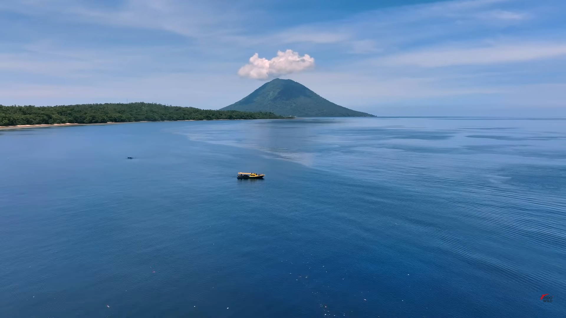 Menyelami Pulau Lembeh, Surga Bawah Laut yang Menakjubkan di Sulawesi Utara