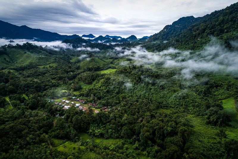 Wisata Asri di Hutan Albasia Kubu Raya