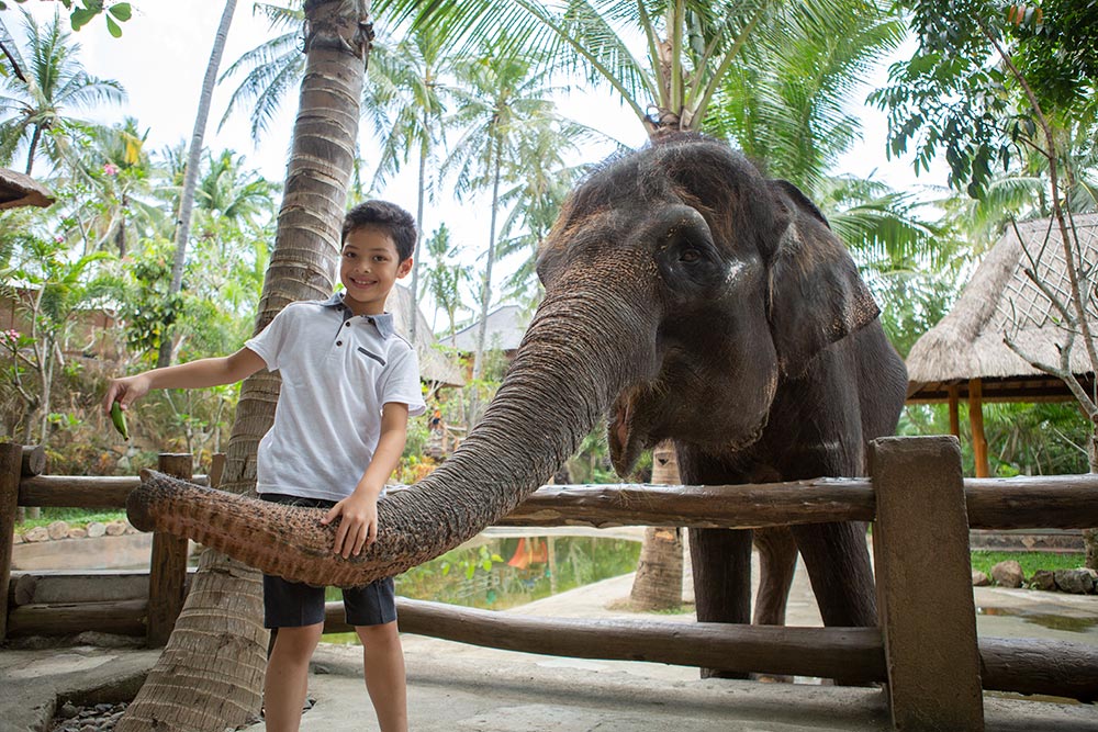 Wisata Sambil Mengenal Satwa di NTB, Bisa Pilih Mau ke Lombok Wildlife ...