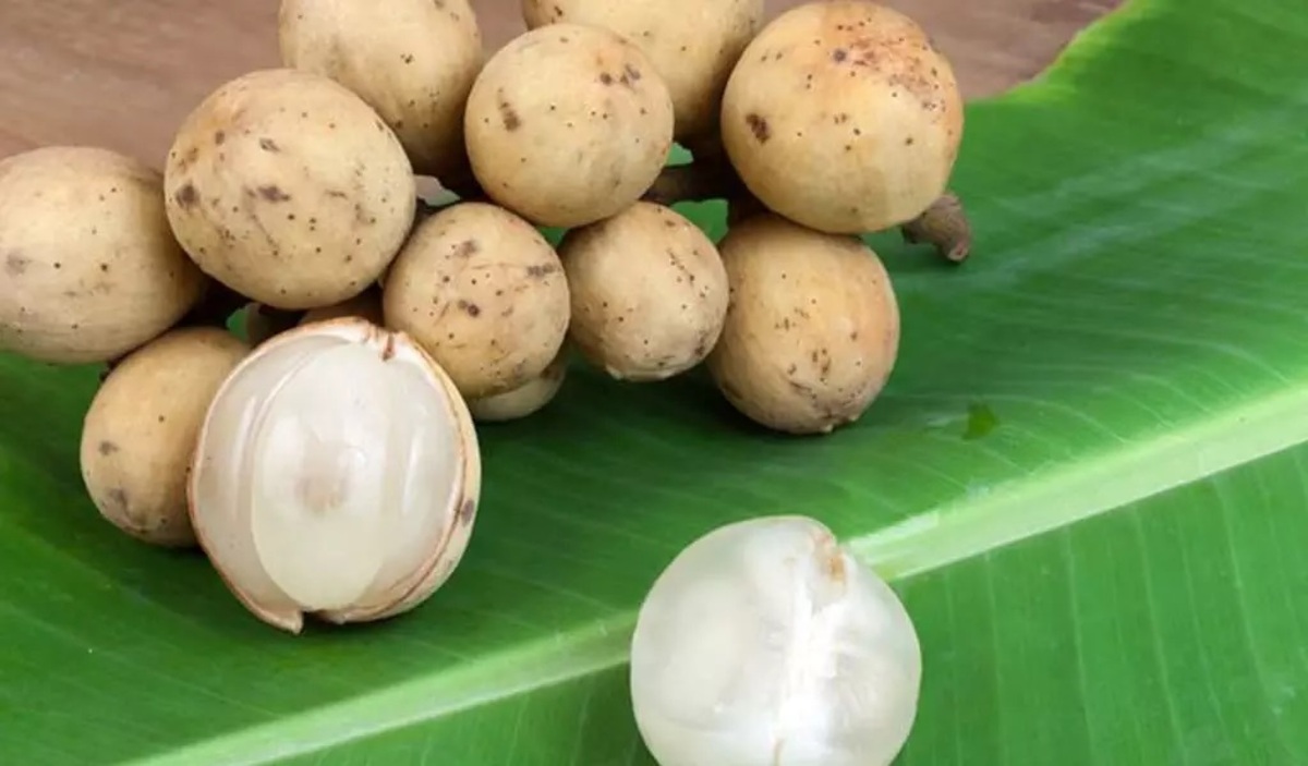 Mengenal Buah Langsat, Si Manis Mirip Duku yang Kaya Manfaat