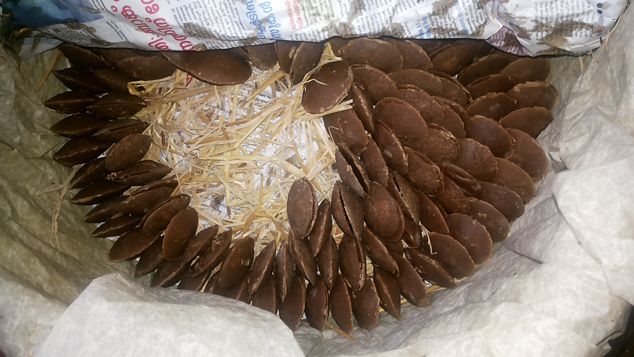 Gula Palma, Komoditas yang Manis Rasa Sekaligus Cuannya