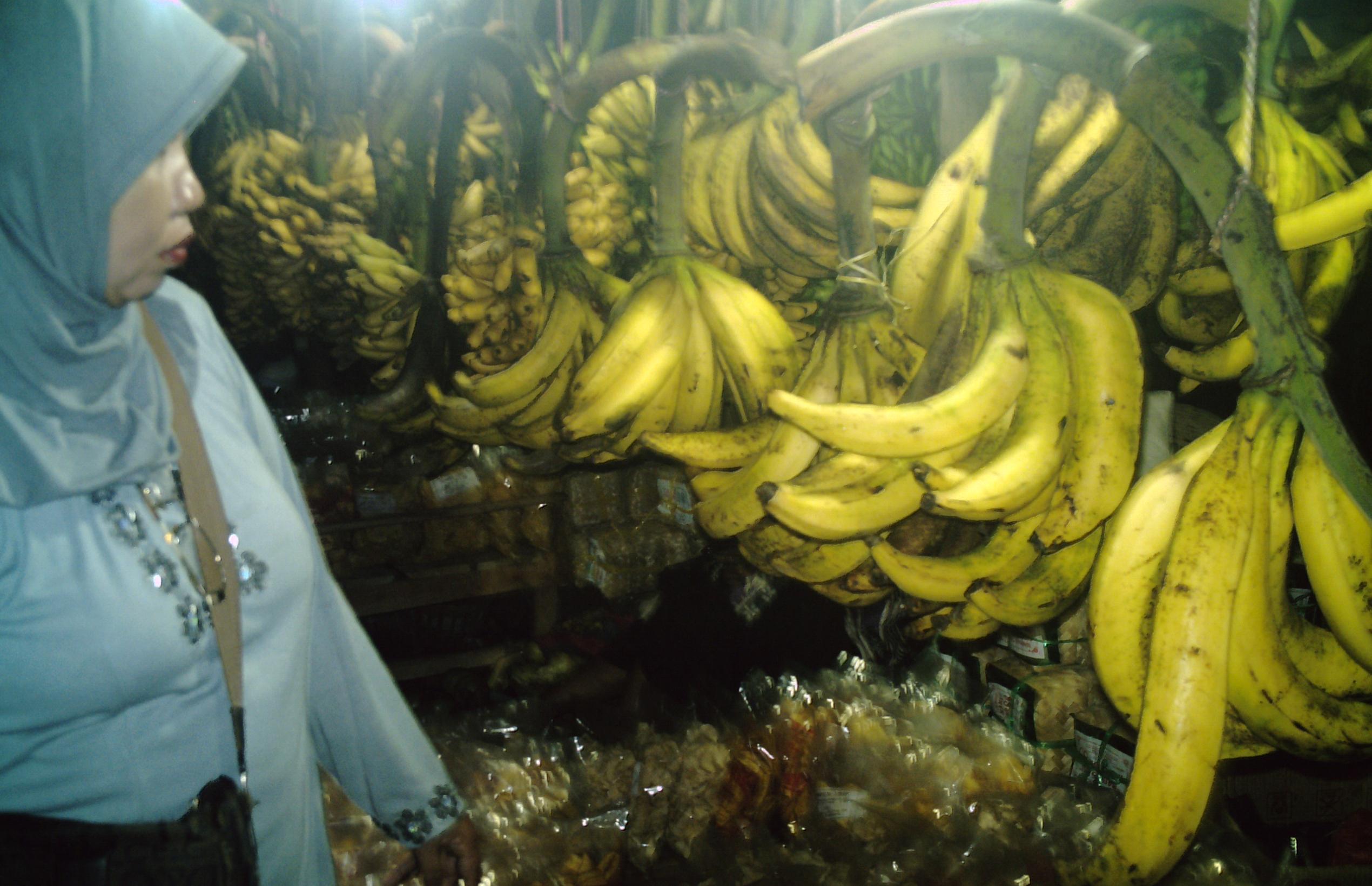 Lumajang Kotanya Pisang