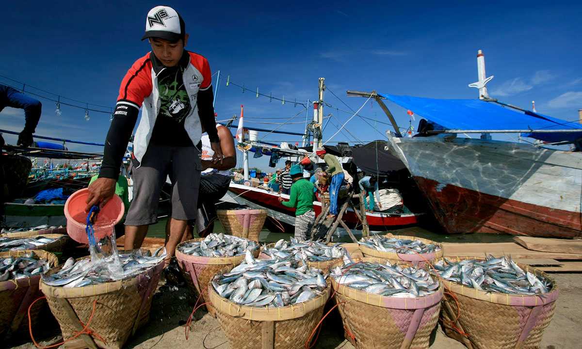 FAO Optimistis Masa Depan Sektor Kelautan dan Perikanan RI Cerah, Ini ...