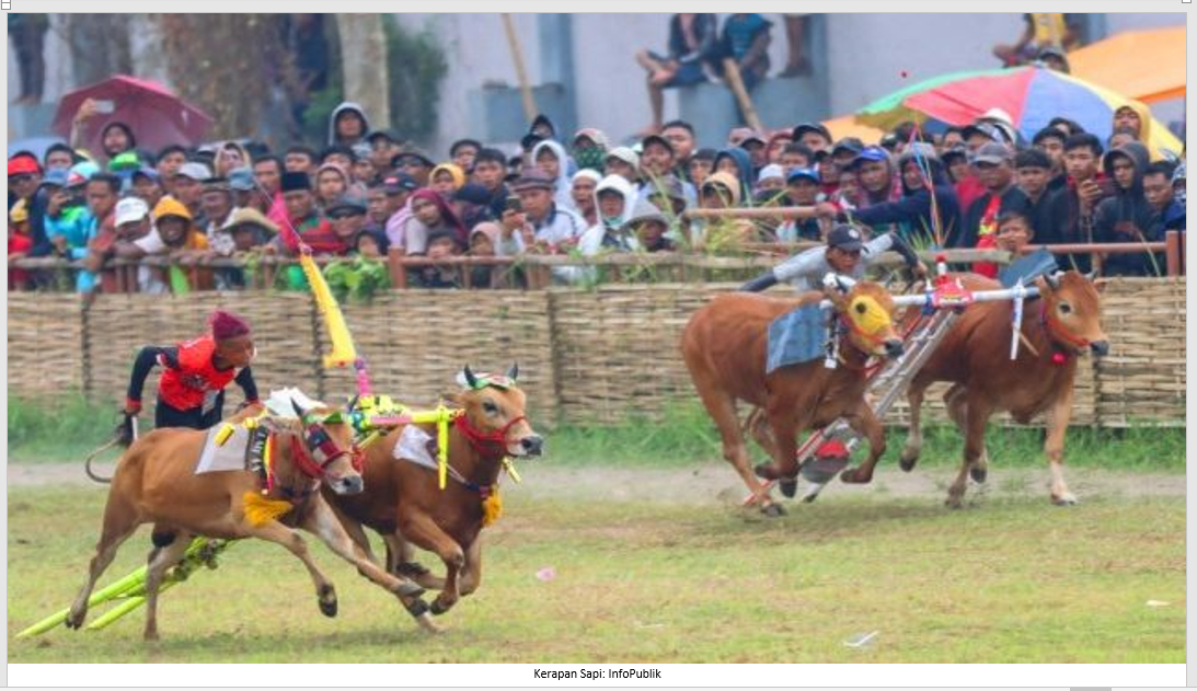 Kerrabhan Sapeh, Simbol Yang Mengangkat Harkat dan Martabat Masyarakat ...