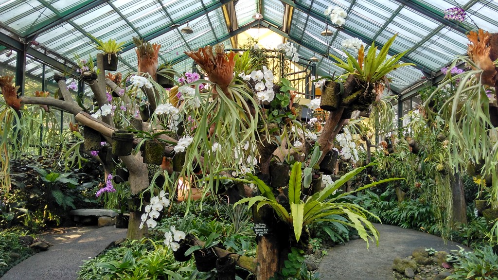 Science Techno Park di Bogor ini Akan Jadi yang Terlengkap Se-Asia Tenggara