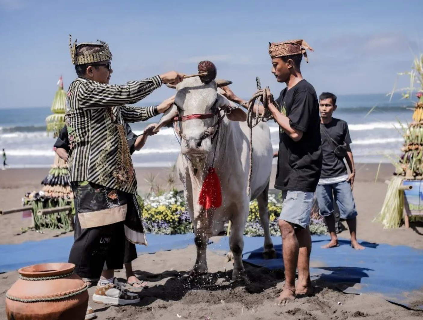 Meriahnya Parade Pegon, Tradisi Kuno dari Bumi Pandhalungan Jember