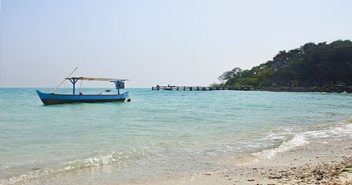 Ke Pulau Rambut Mengunjungi Kerajaan Burung