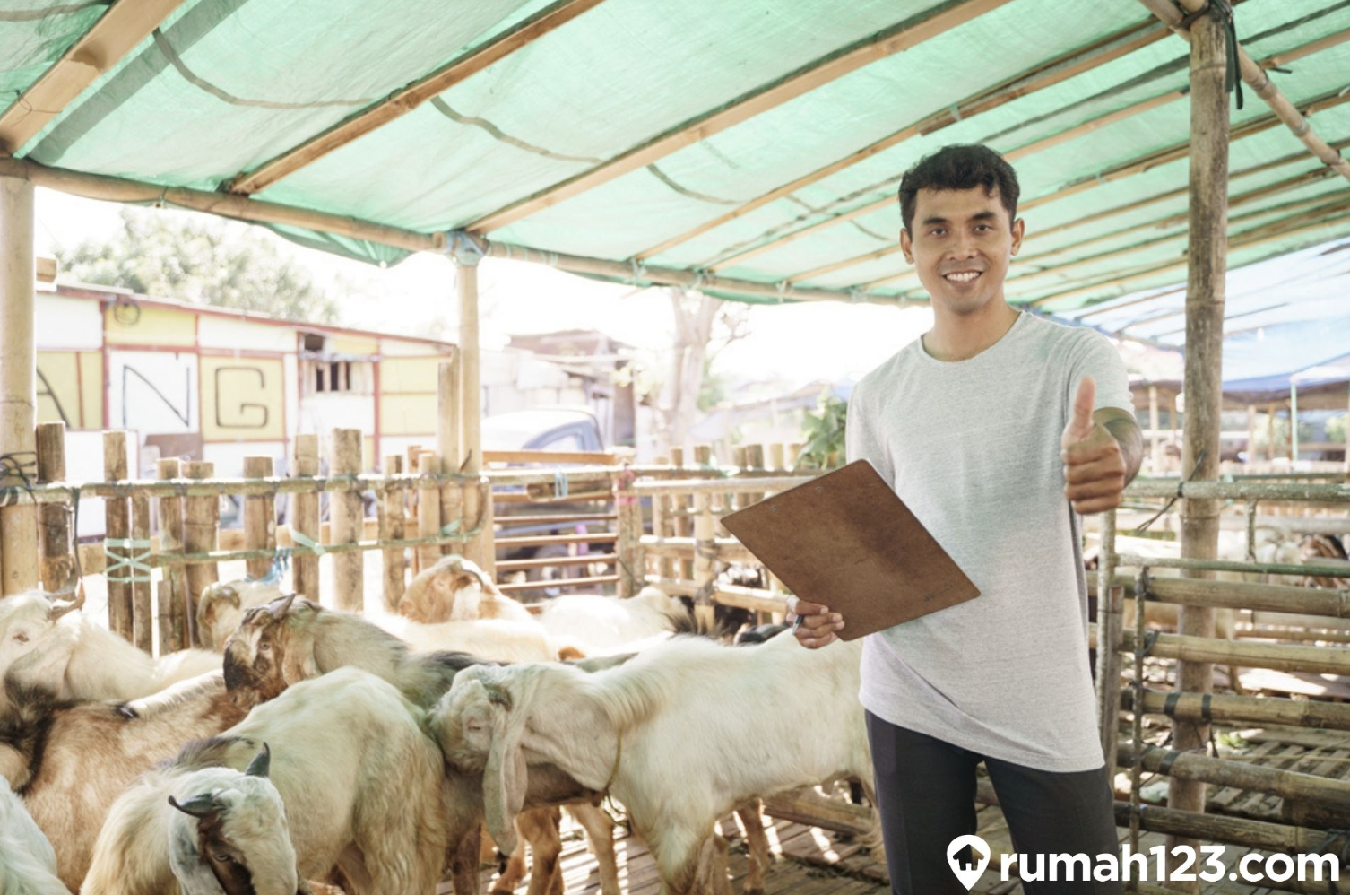 Mengenal Kambing Peranakan Etawa Yang Prospeknya Menjanjikan