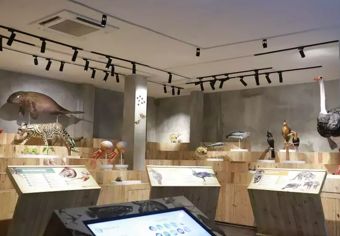 Animalium, Wisata Edukasi Kombinasi Museum dan Kebun Binatang Terbesar ...