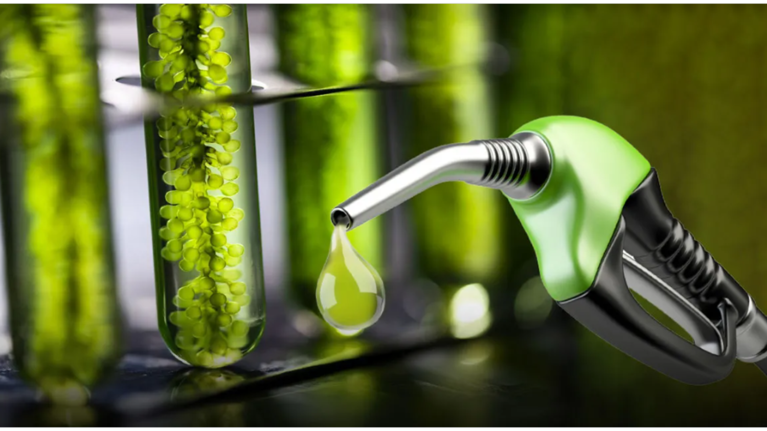 Bioetanol Sebagai Energi Terbarukan, Solusi Keberlanjutan Sumber Daya ...