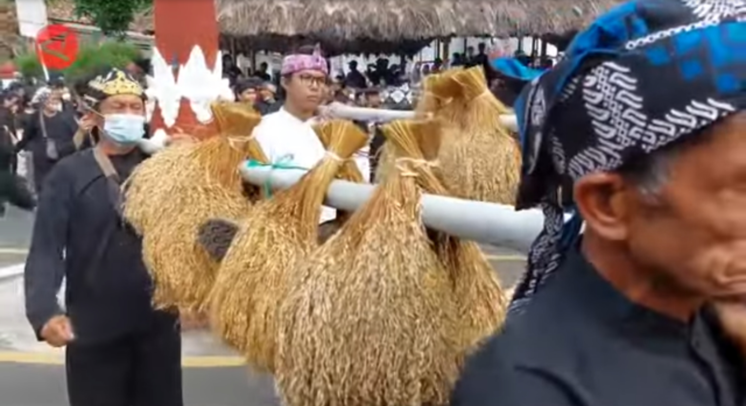 Seren Taun: Upacara Adat Sunda Wiwitan yang Berumur 655 Tahun