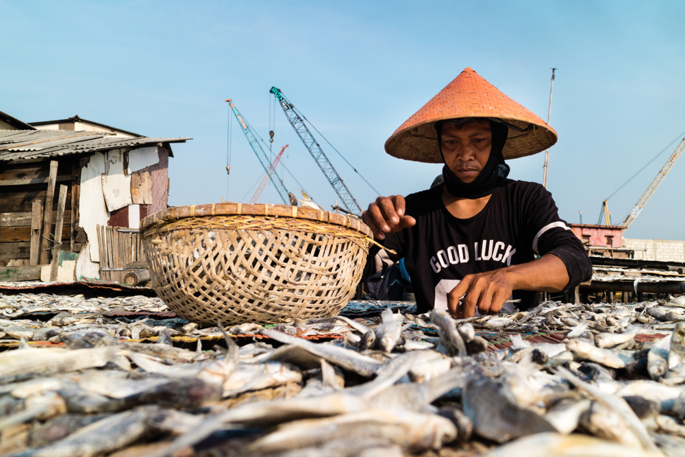 Mendorong Produksi Perikanan dengan Ekonomi Biru, Bagaimana Kemajuannya?