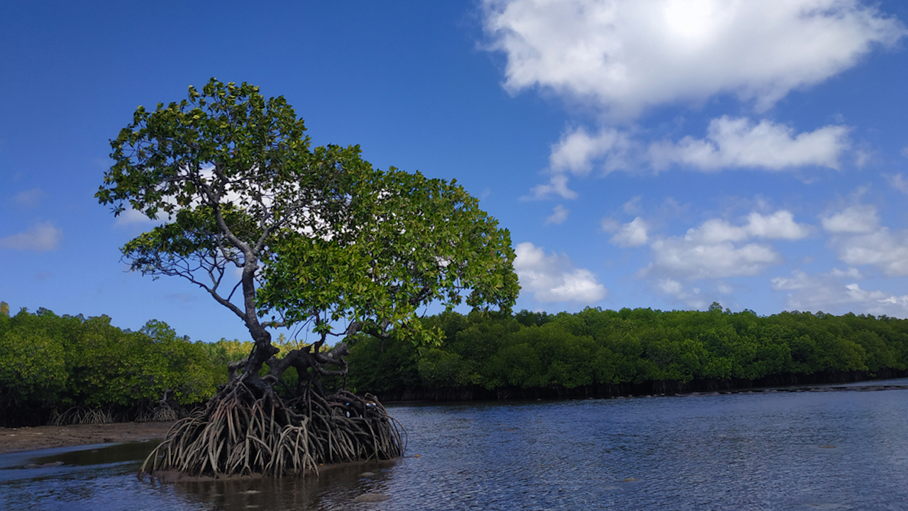 Menyimpan Harta Karun, Ini Destinasi Wisata yang Wajib Dikunjungi di ...