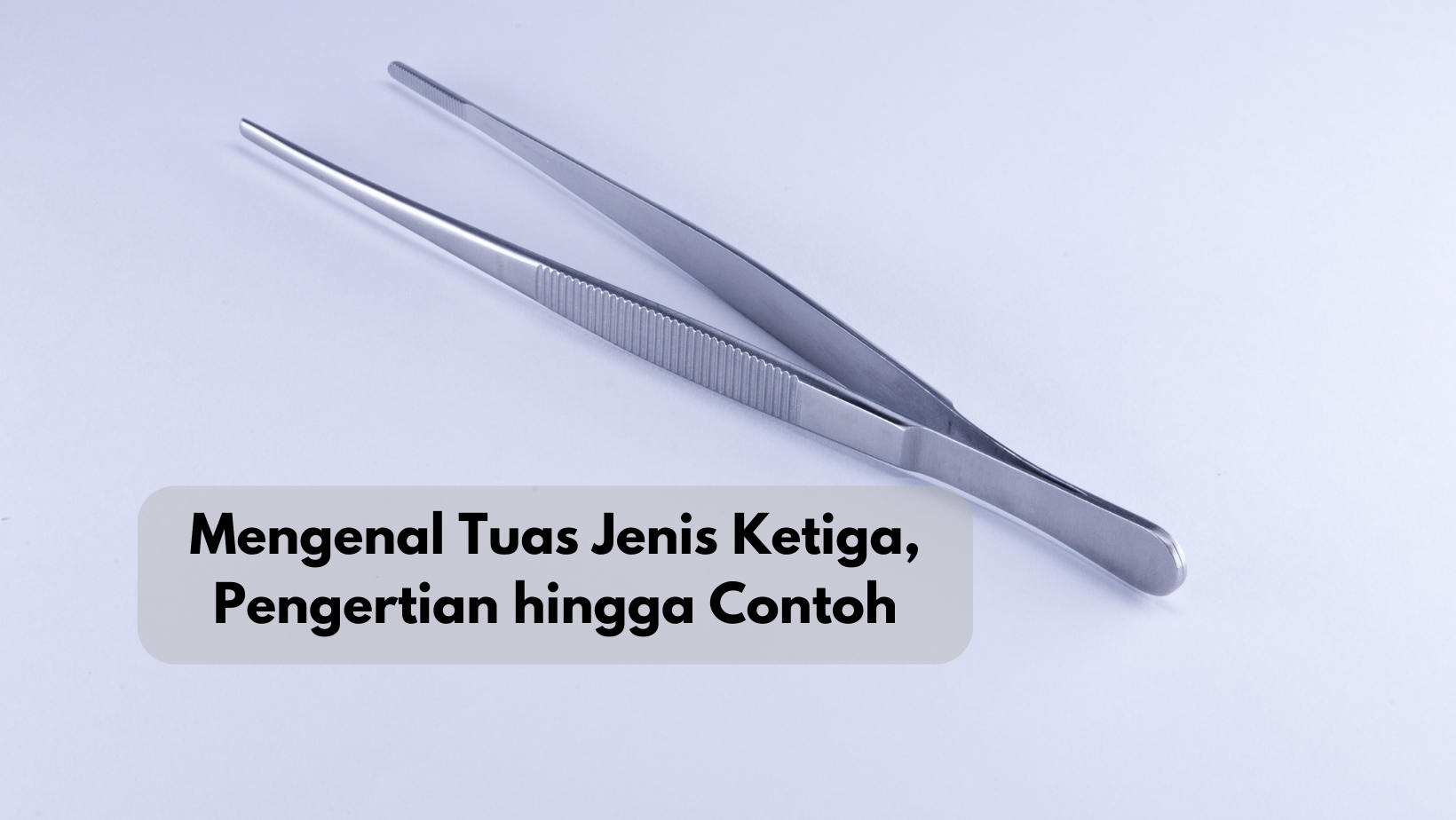 Mengenal Tuas Jenis Ketiga, dari Pengertian Hingga Contoh dan Pembahasannya