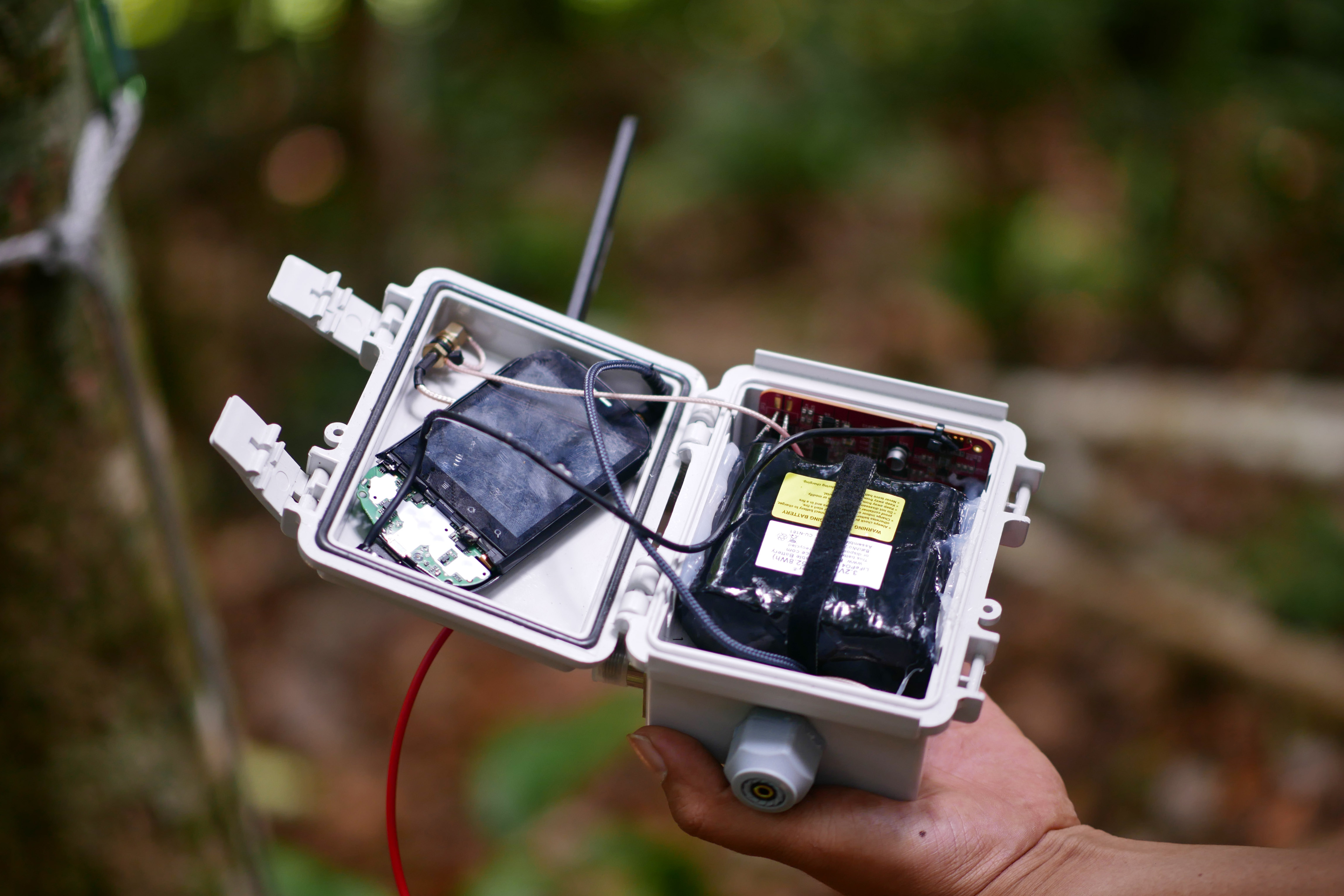 Lindungi Hutan di Sumatra Barat dengan Teknologi Google AI