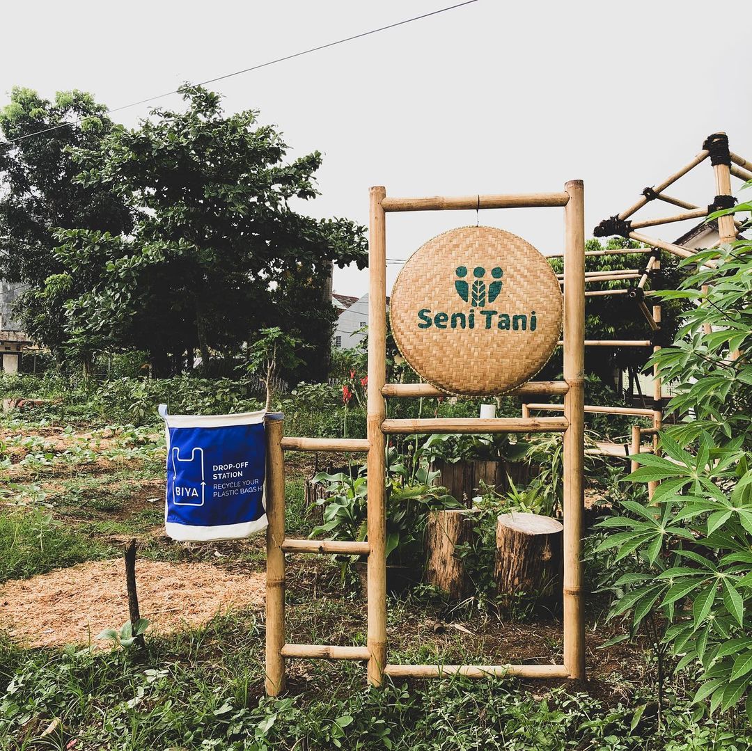 Kenali Sosok Vania Febriyantie, Petani Millennial Pencetus Seni Tani