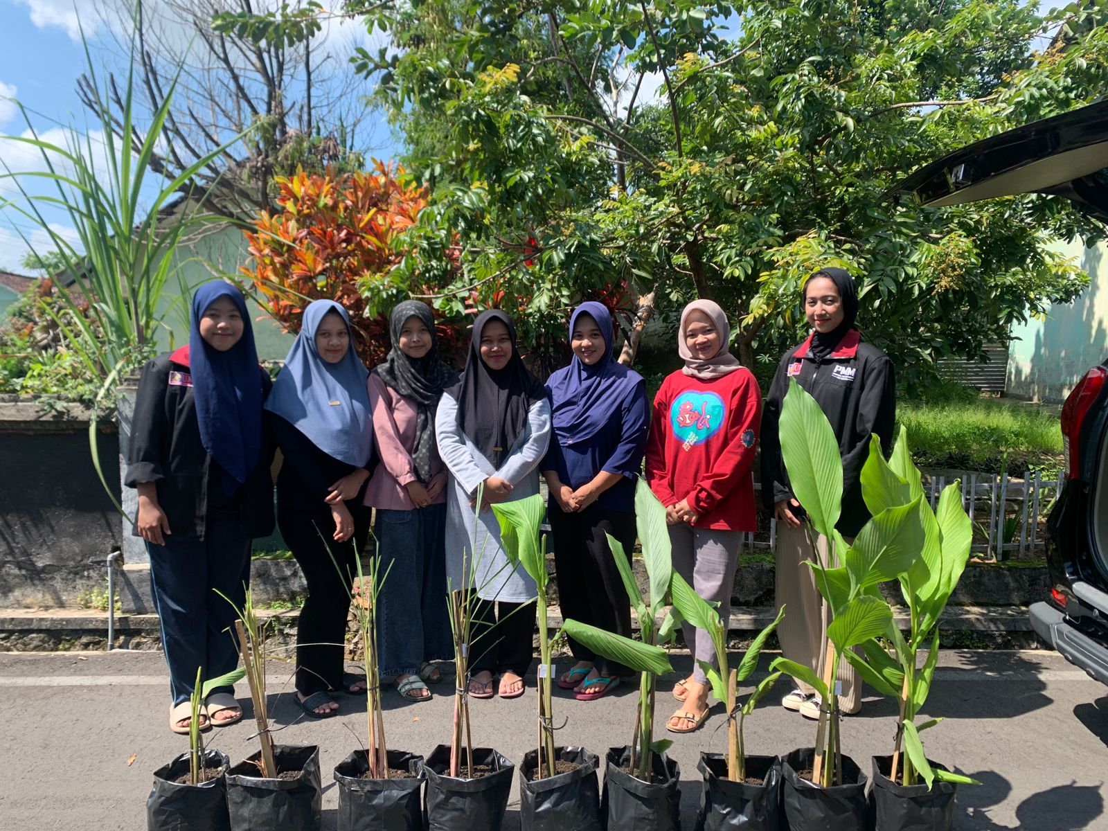 Penanaman Toga Oleh Ibu PKK Desa Ardimulyo Guna Meningkatkan Kepedulian ...