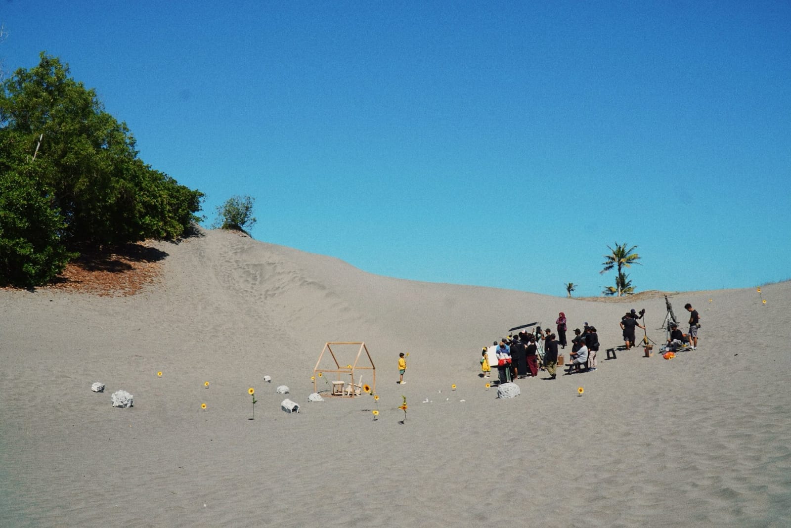 Gala Bunga Matahari Sajikan Visual Indah 3 Tempat Wisata di Jogja