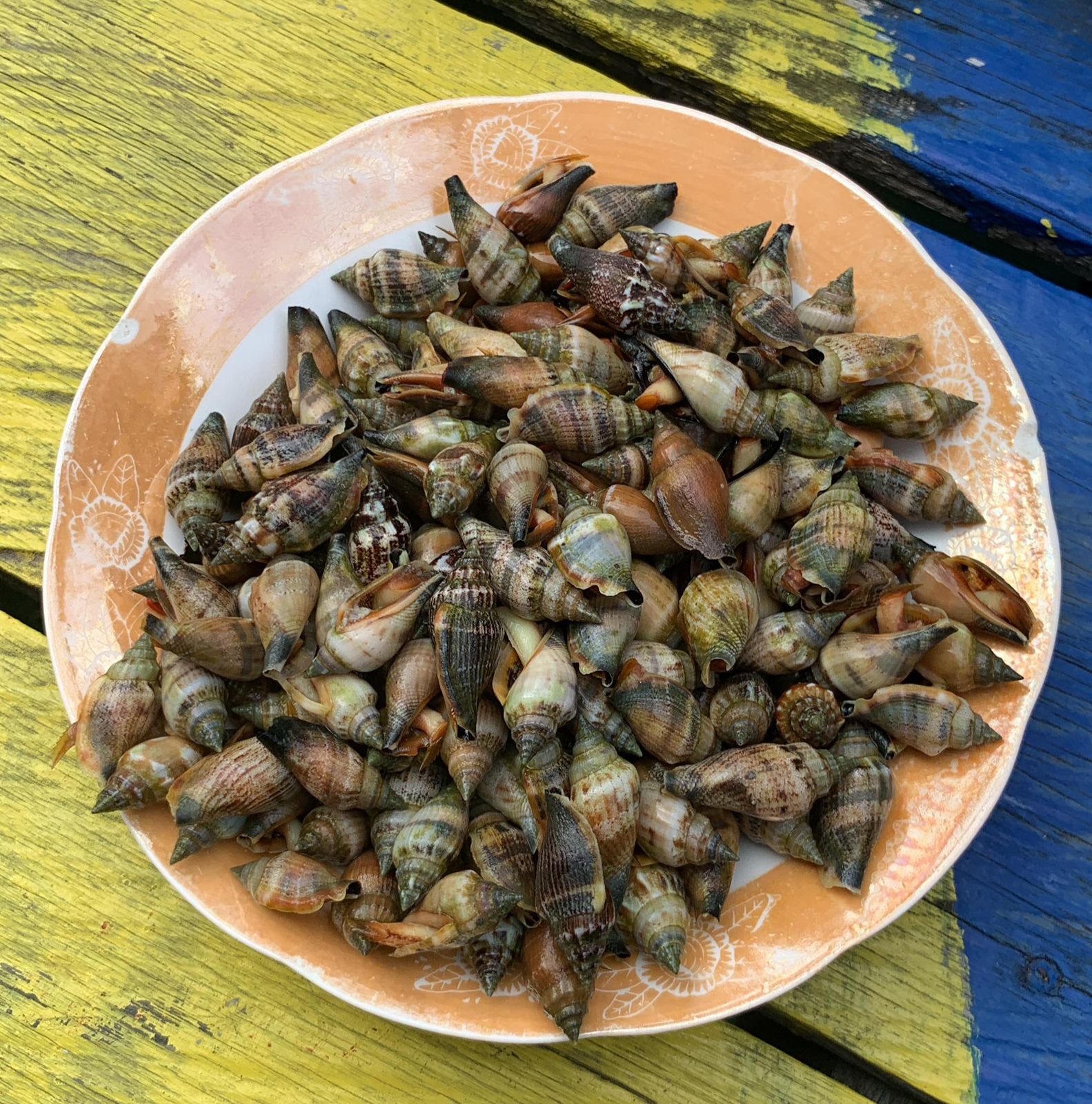 Tihi-tihi, Desa Apung Terpencil di Timur Kalimantan