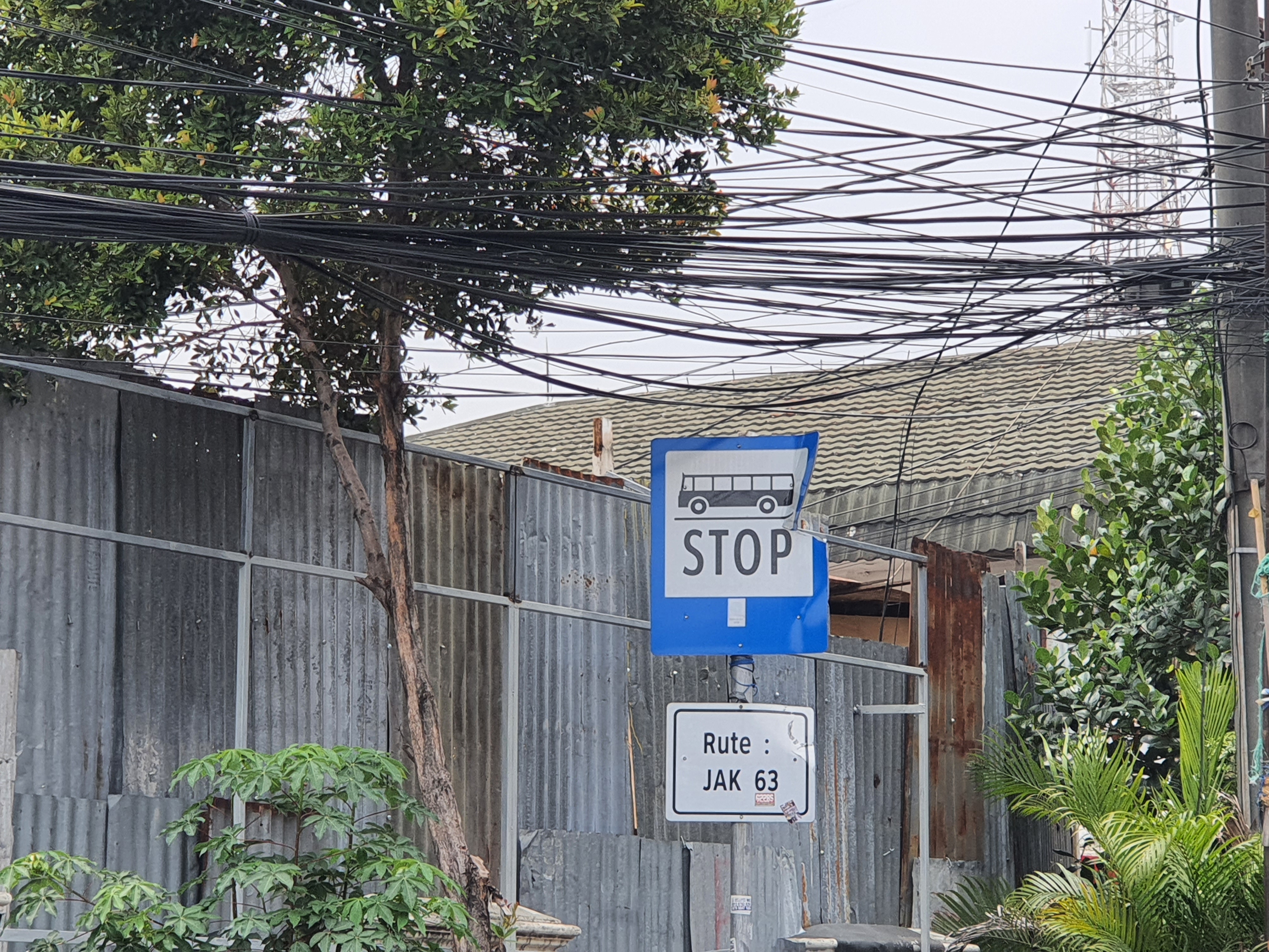 Mengenal Mikrotrans, Angkot Gratis ke Mana Saja